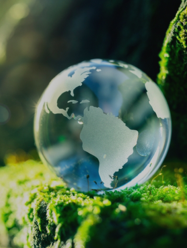 GEF-CSO – Formerly known as GEF-NGO Network