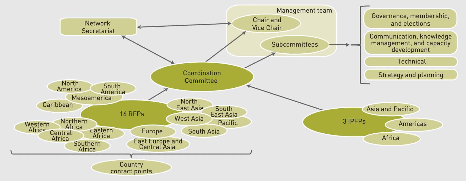 Network Governance - GEF CSO Network