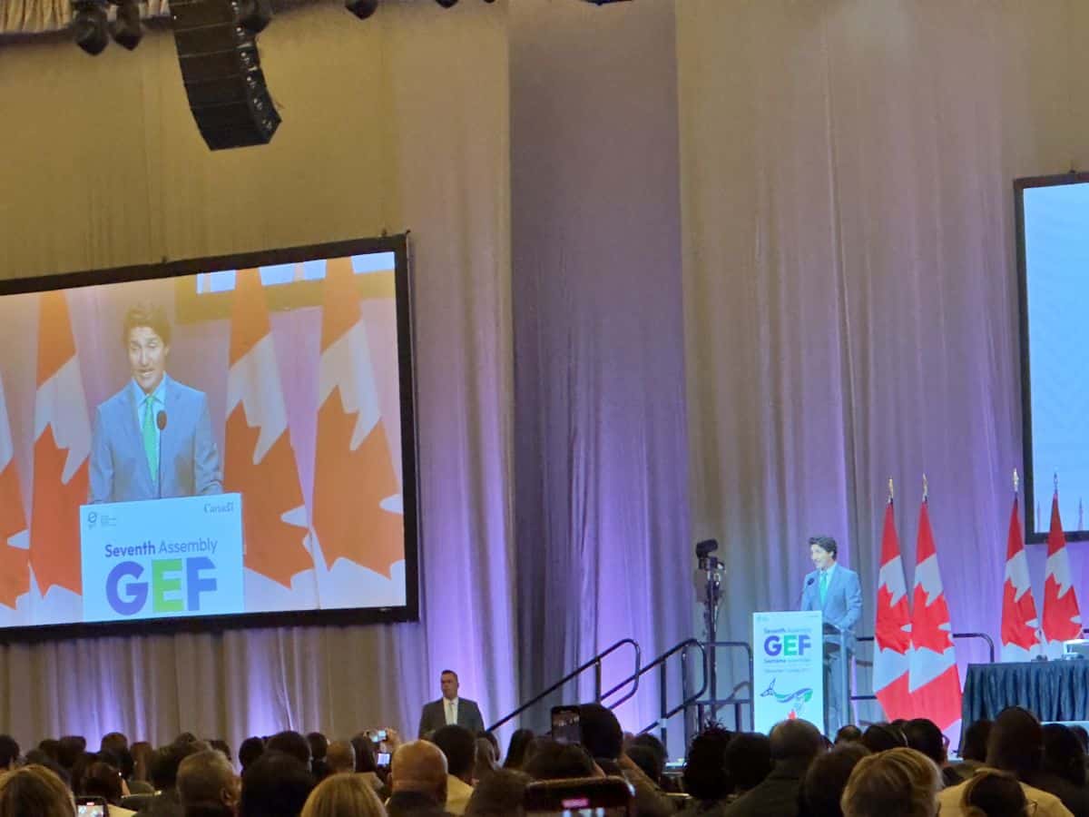 Key takeaways and outcomes of the 7th GEF Assembly - GEF CSO Network